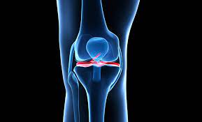 Stanmore Knee MRI Fellowship